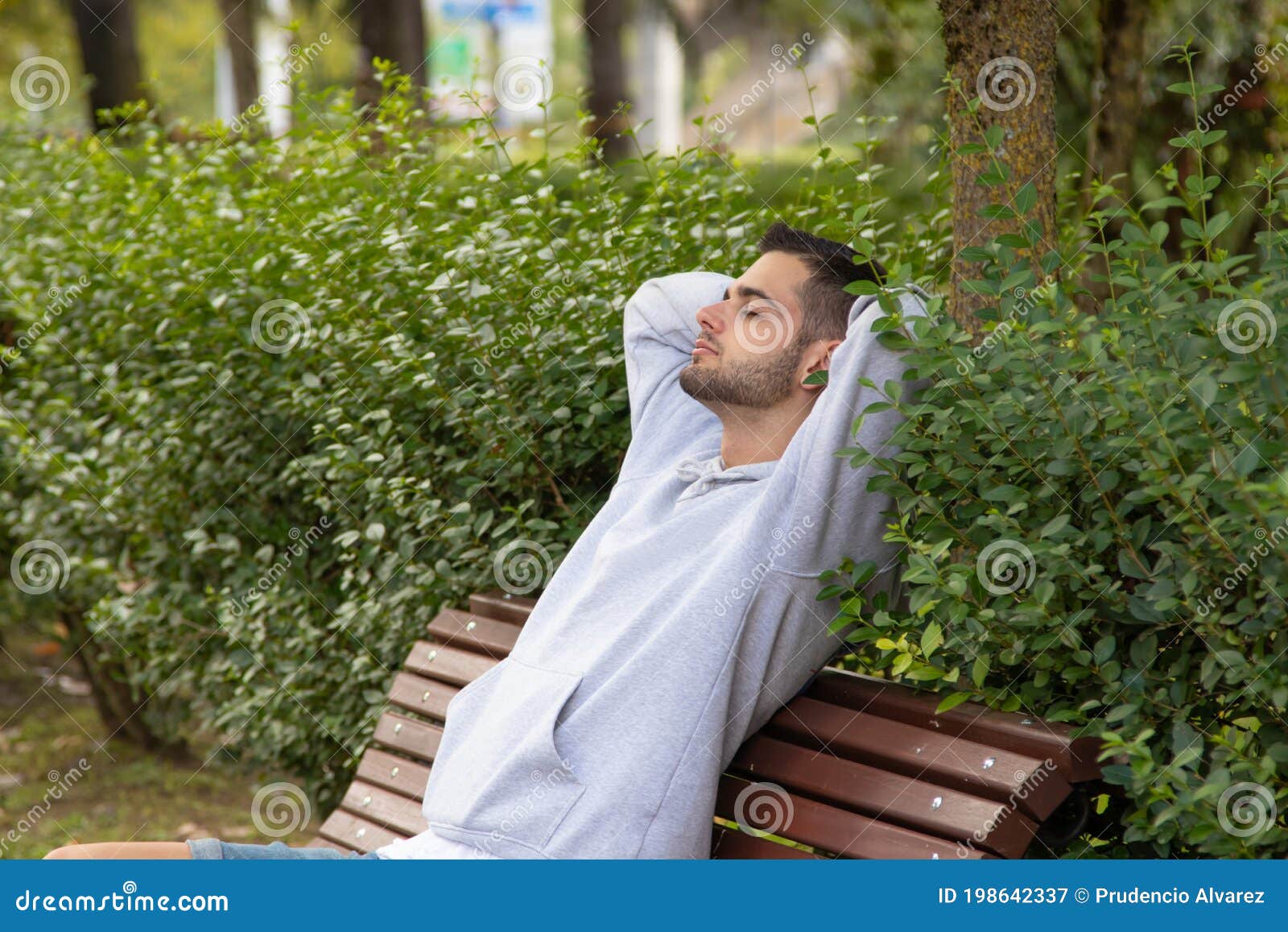 Man Sitting on the Bench Relaxed Stock Image - Image of casual, sitting ...