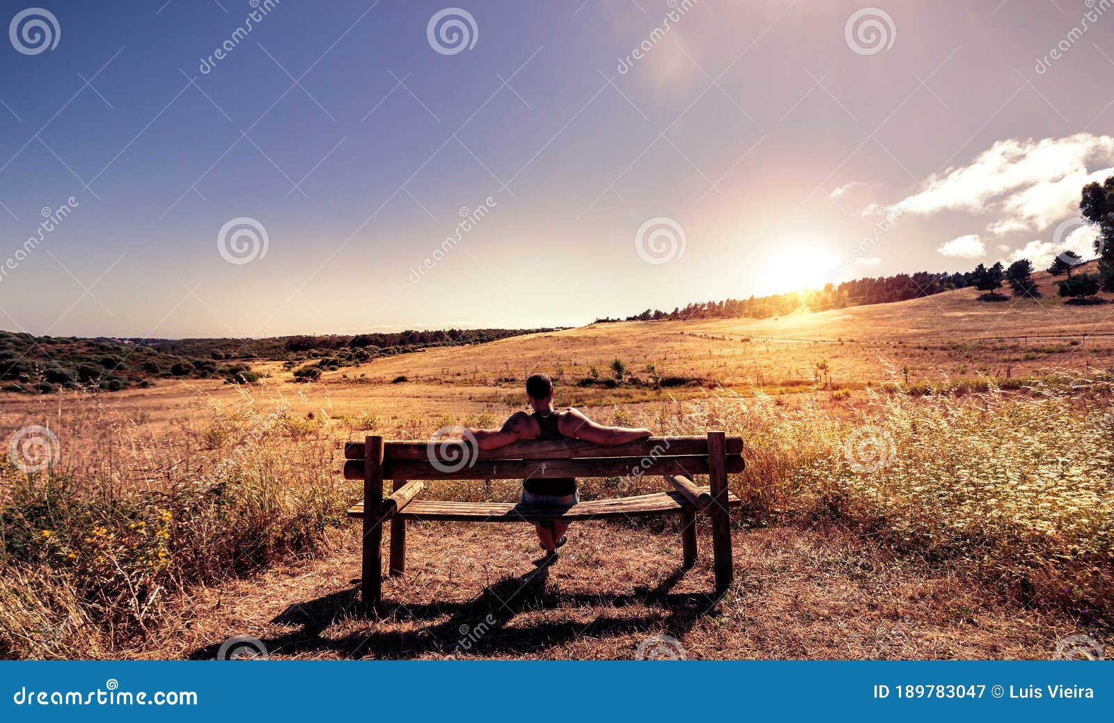 A Man Sitting on a Bench at Sunset Stock Image - Image of bench ...