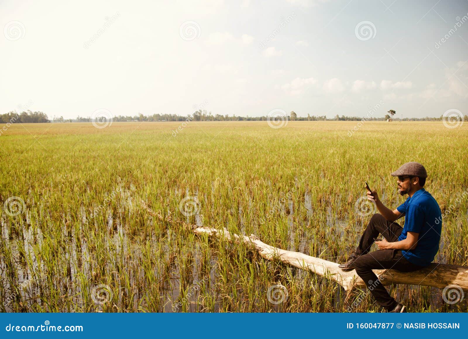 Man Sitting on a Dead Tree Using Mobile Phone Stock Image - Image of ...