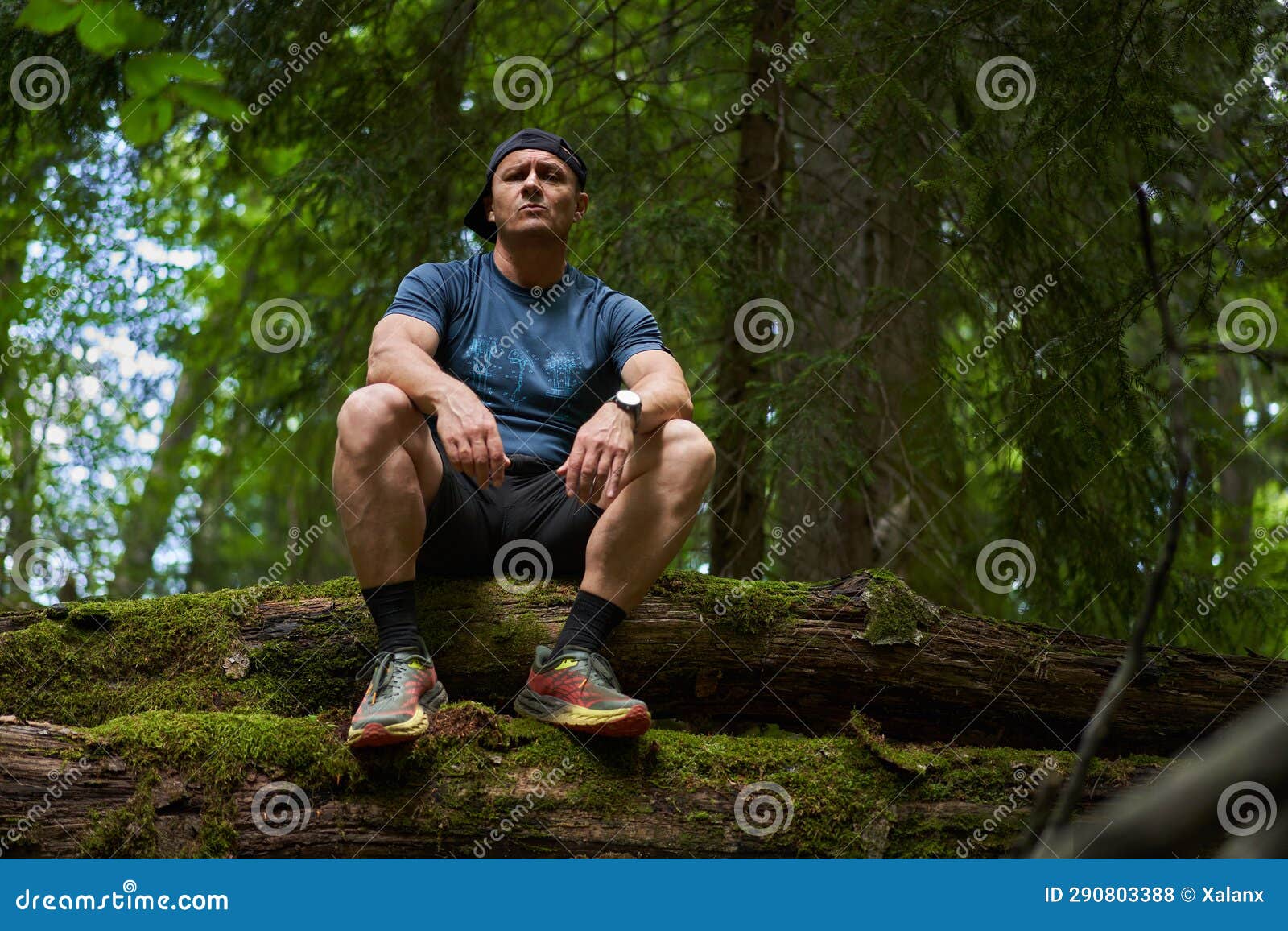 Man sitting on a log stock photo. Image of scene, beauty - 290803388