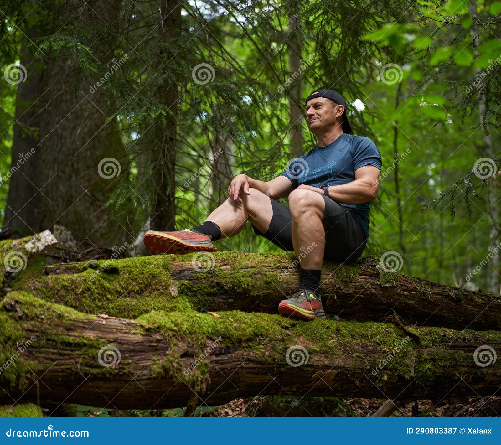 Man sitting on a log stock image. Image of hike, deciduous - 290803387