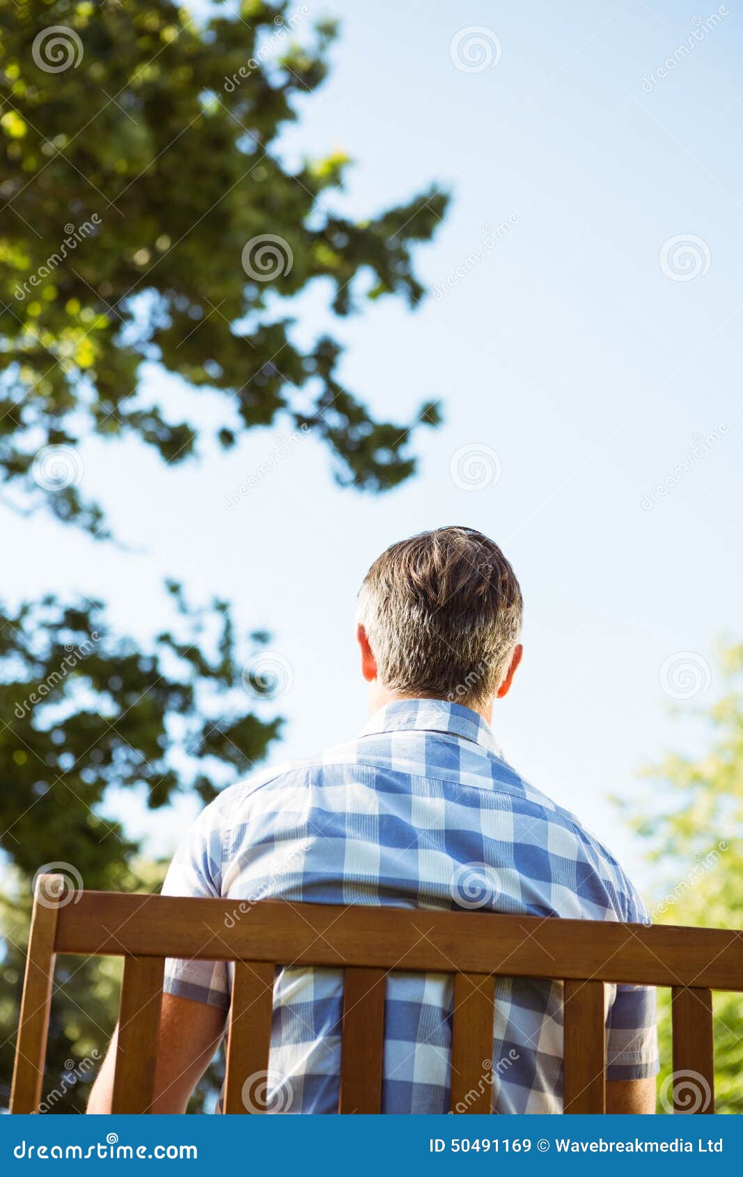 Man sitting on park bench stock image. Image of summer - 50491169