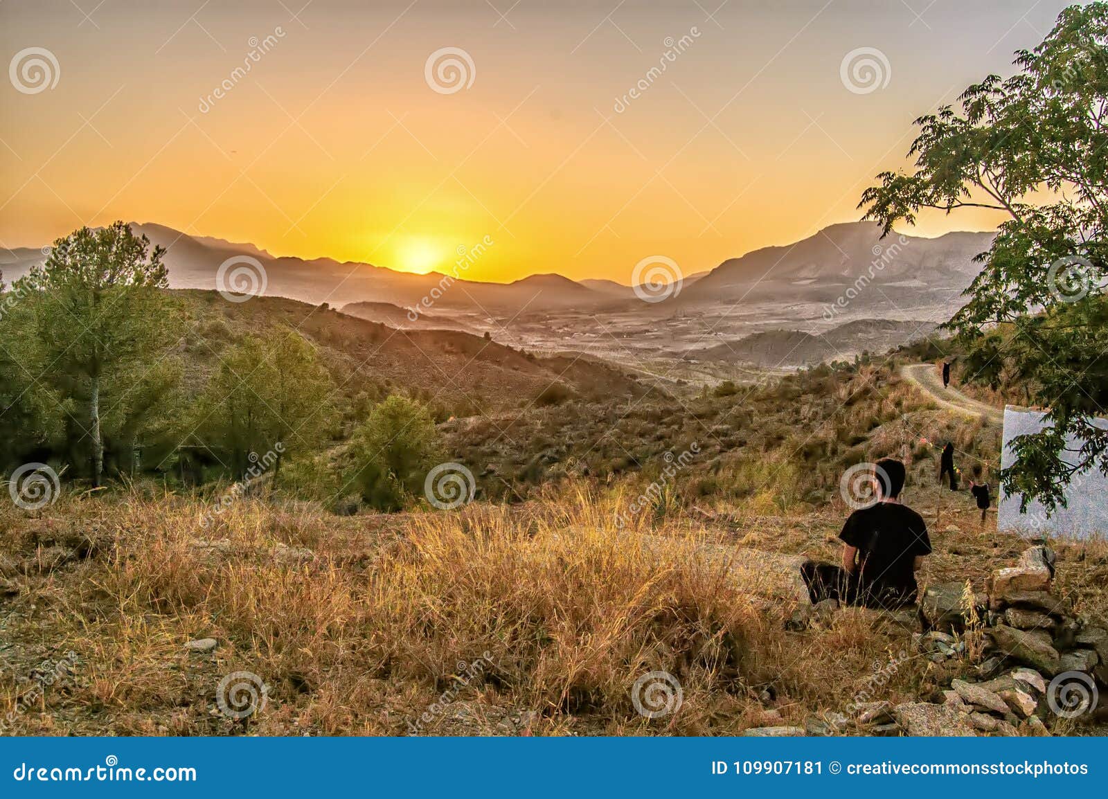 Man Sitting In Stone Near Green Tree Picture. Image: 109907181