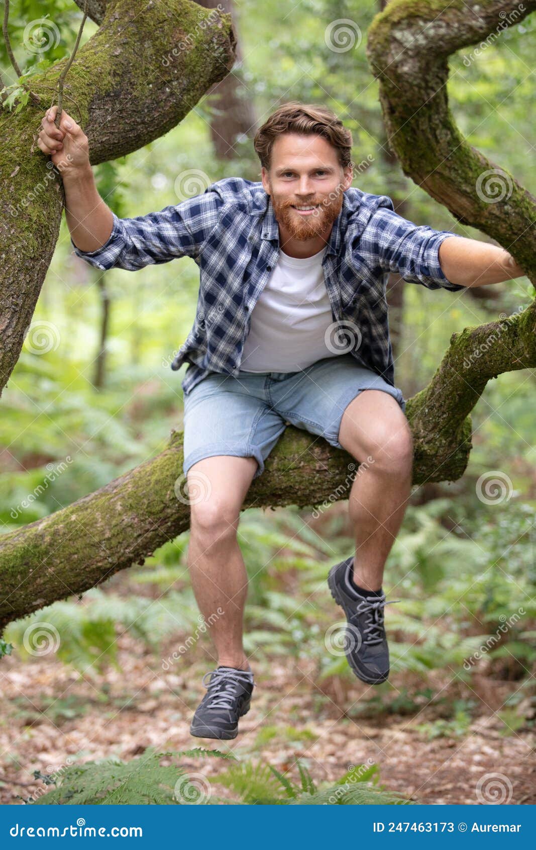 Man Sitting on Suspended Tree Branch Stock Image - Image of lifestyle ...