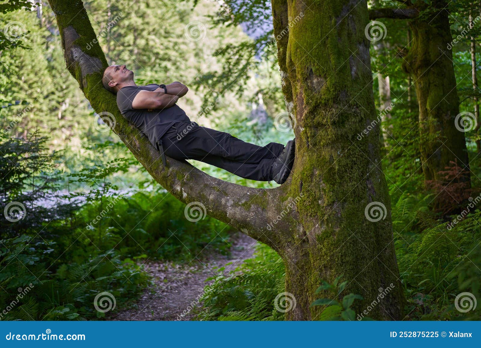 Man sitting in a tree stock image. Image of single, alone - 252875225