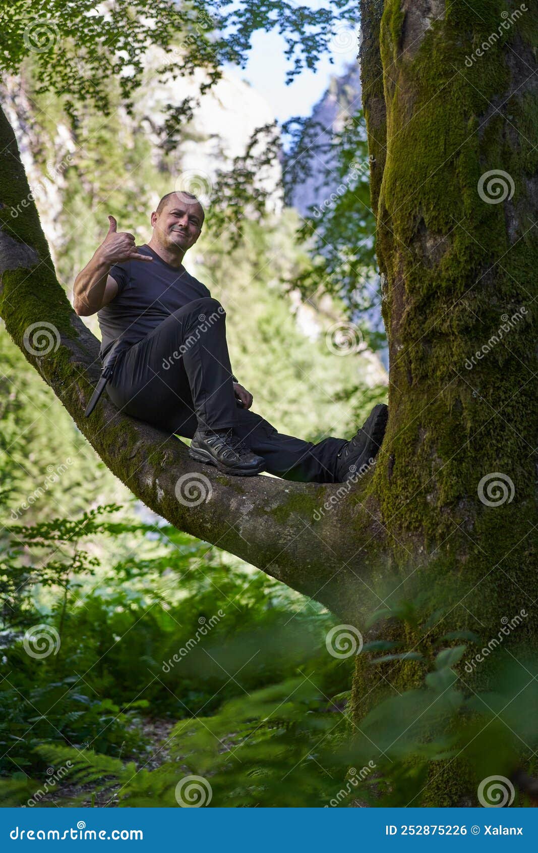 Man sitting in a tree stock photo. Image of sunlight - 252875226