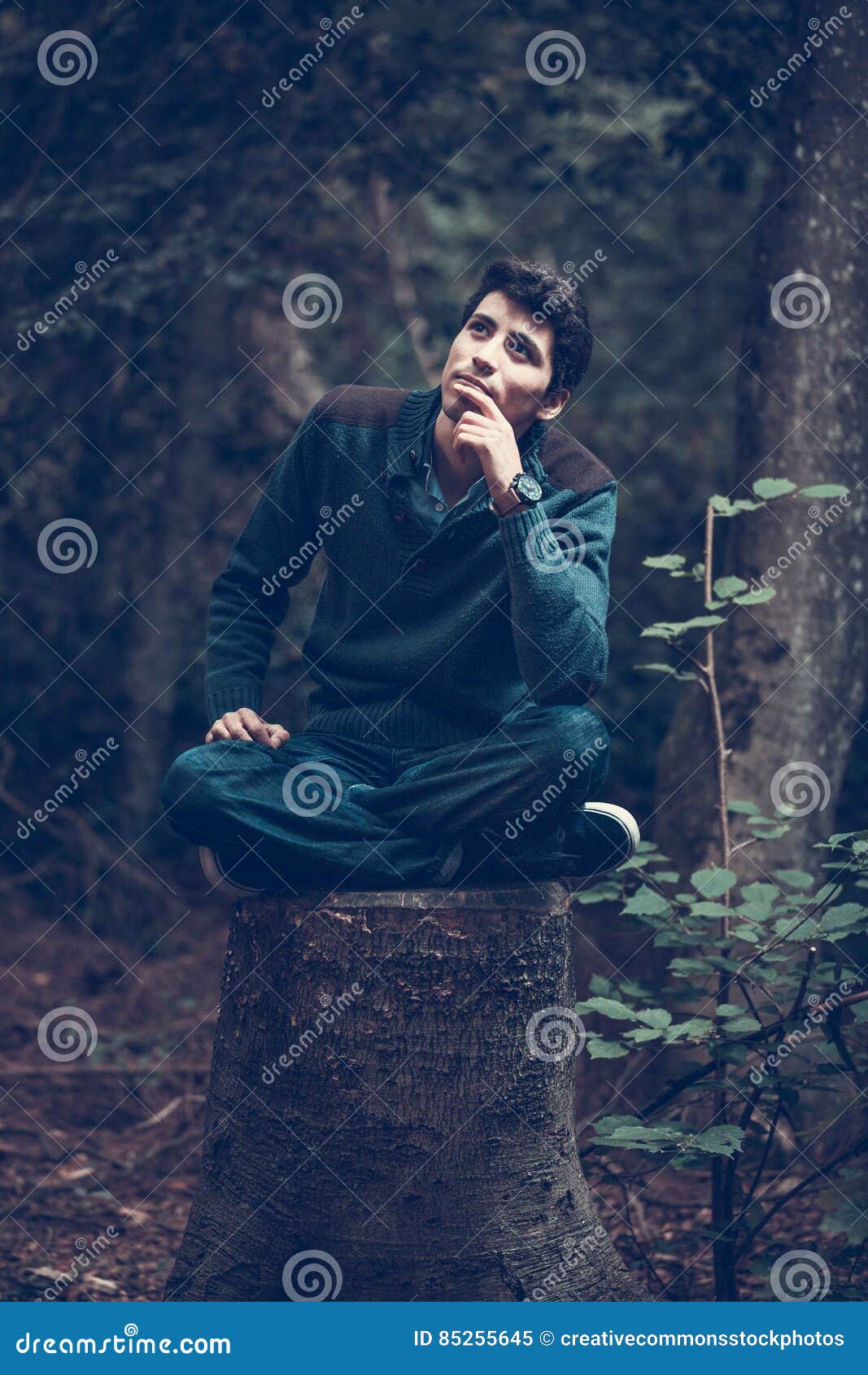 Man Sitting On Tree Stump Picture. Image: 85255645