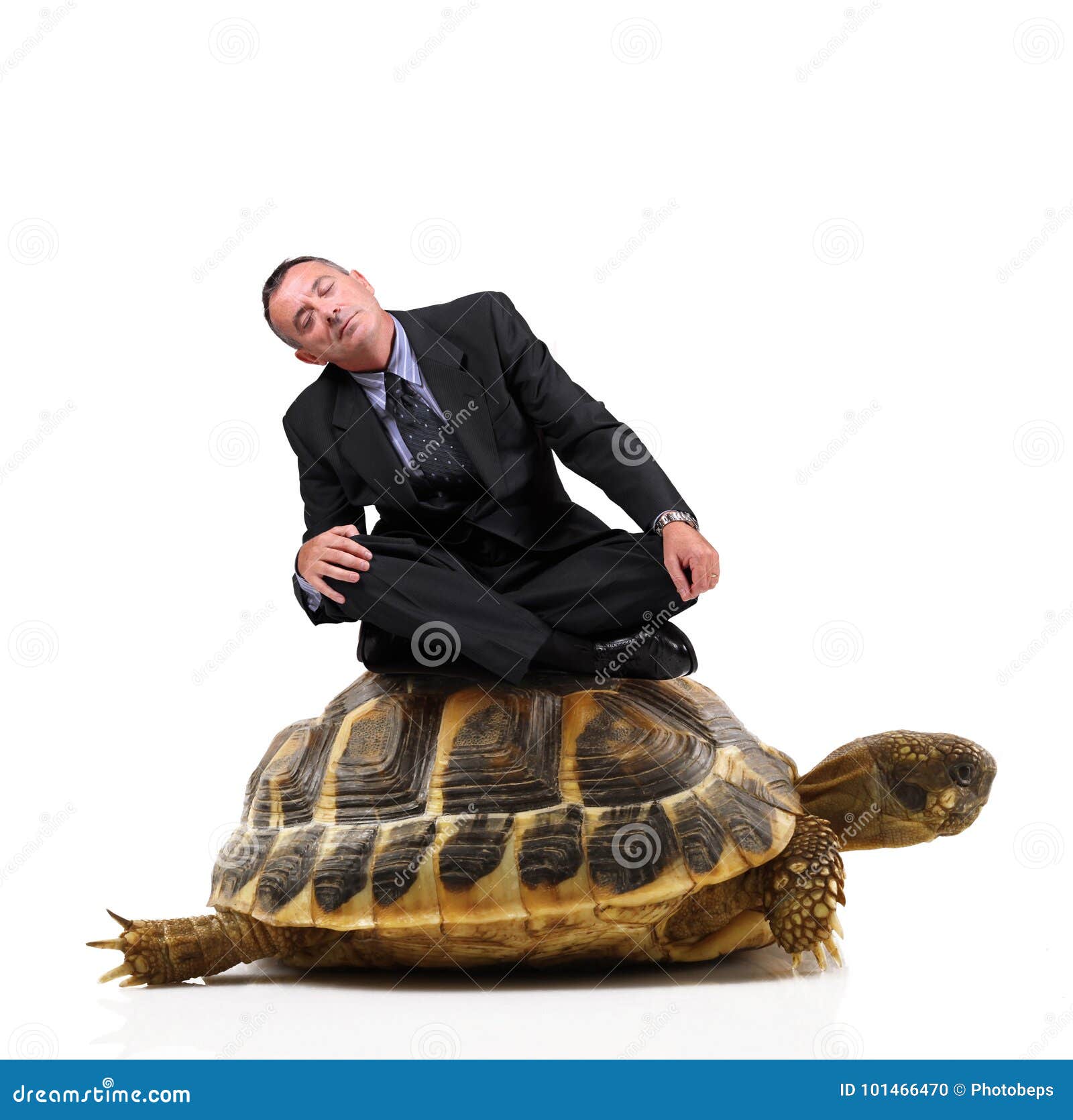 Man sitting on a turtle stock photo. Image of success - 101466470