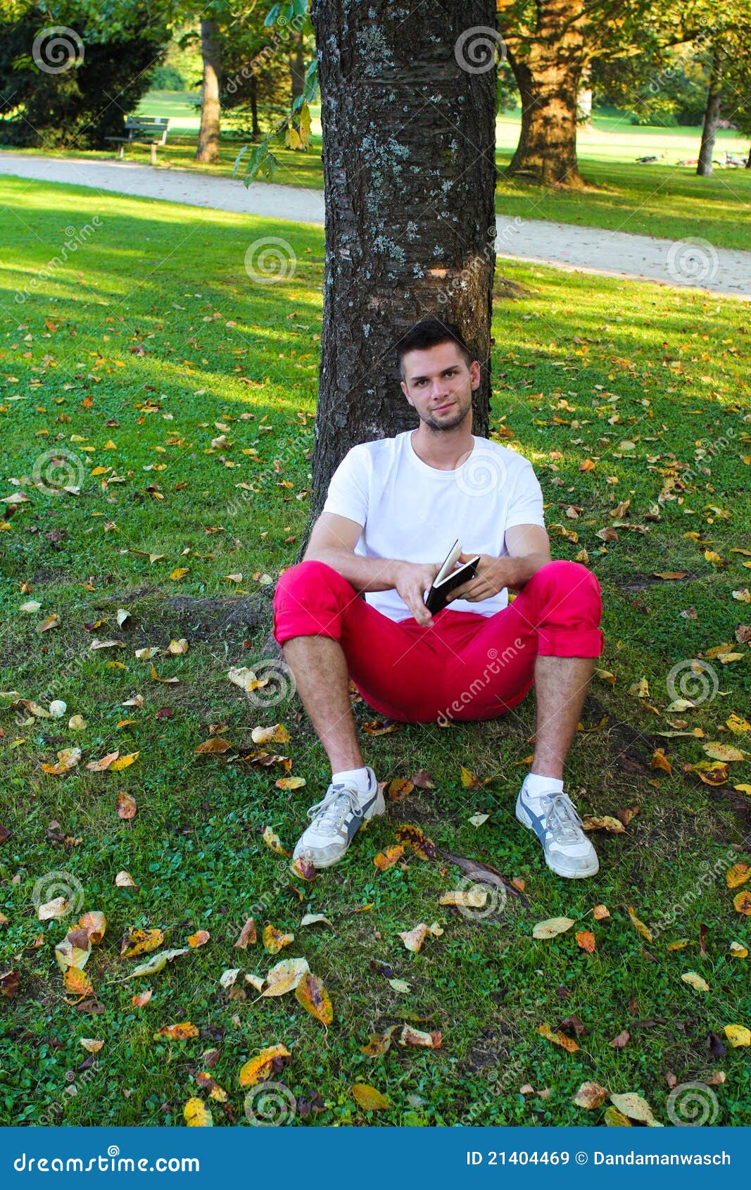 Man sitting under a tree stock image. Image of reading - 21404469