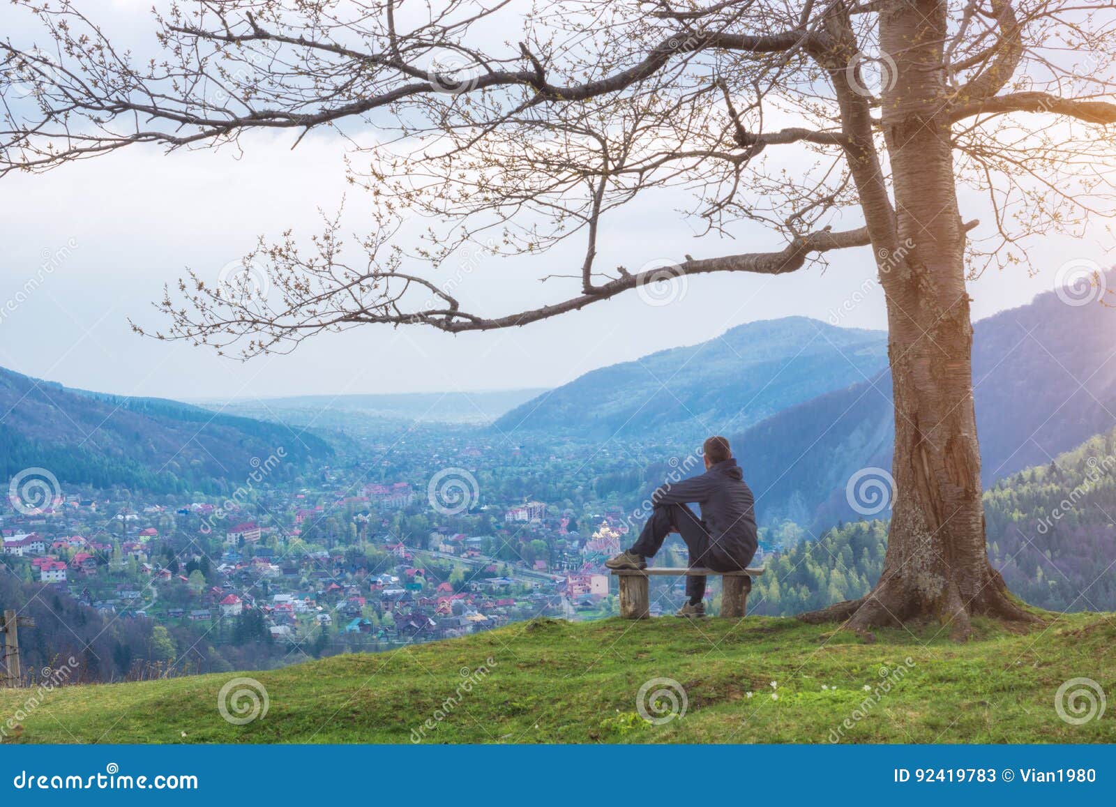 Man is Sitting Under the Tree Stock Image - Image of grass, calmness ...