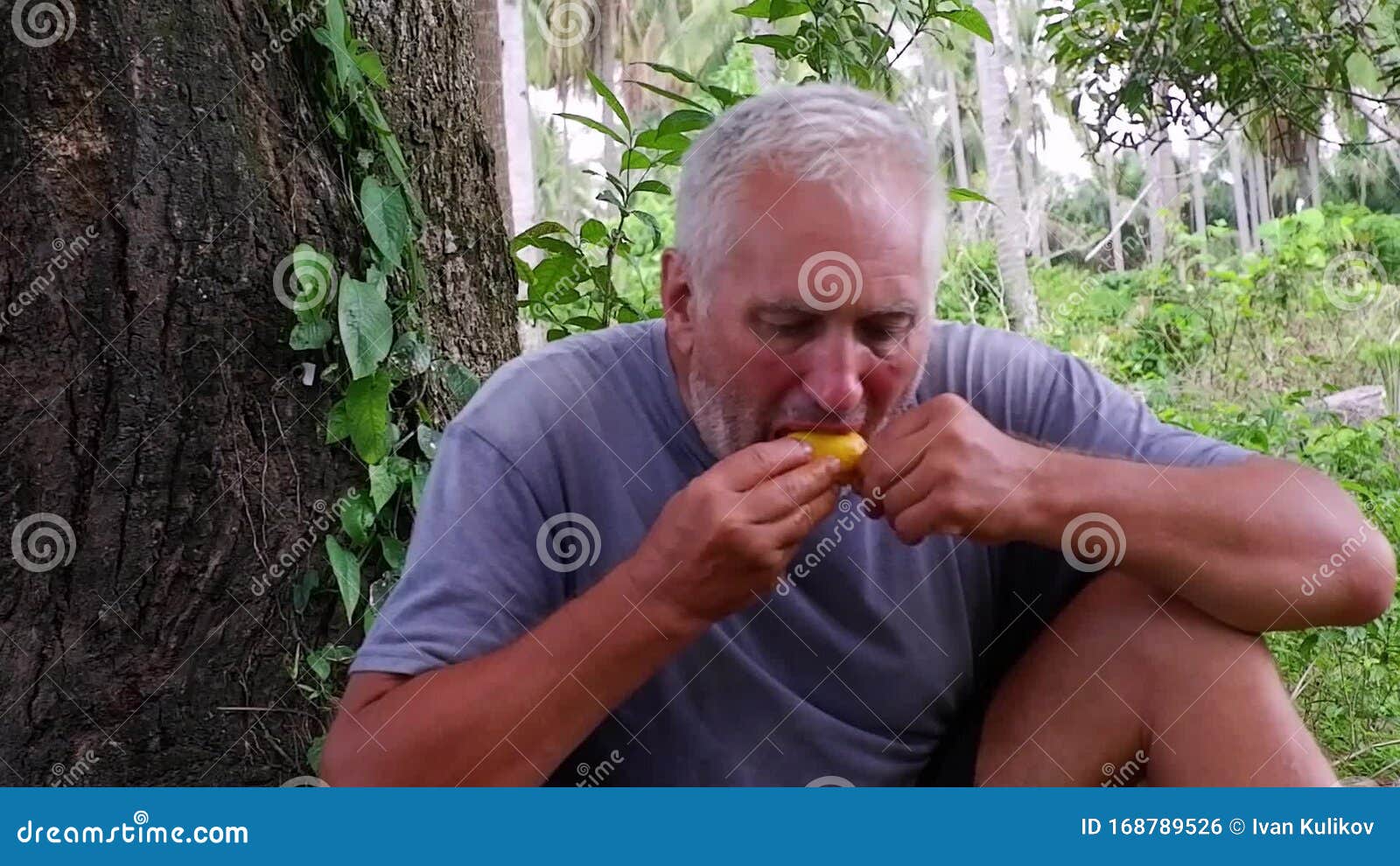 A Man Sitting Under the Tree while Eating a Ripe Small Mango. Stock ...