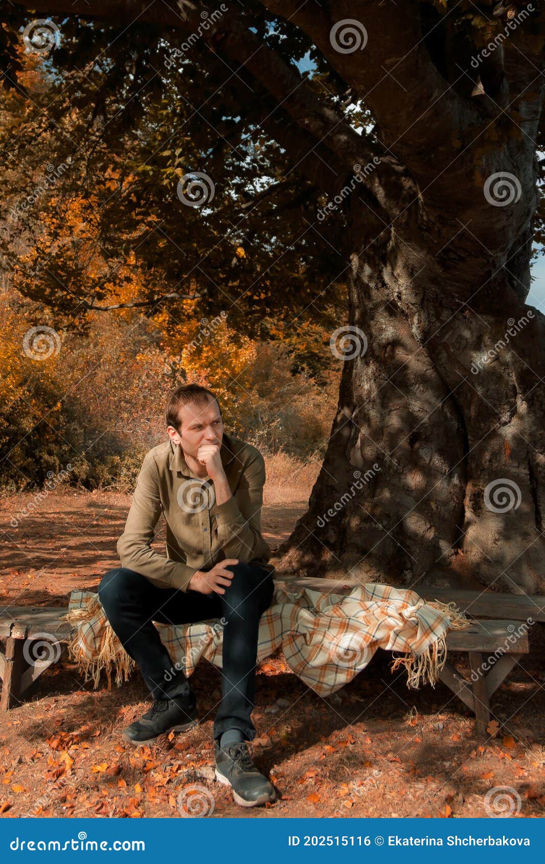 A Man Sitting Under a Tree in the Forest Stock Photo - Image of fall ...