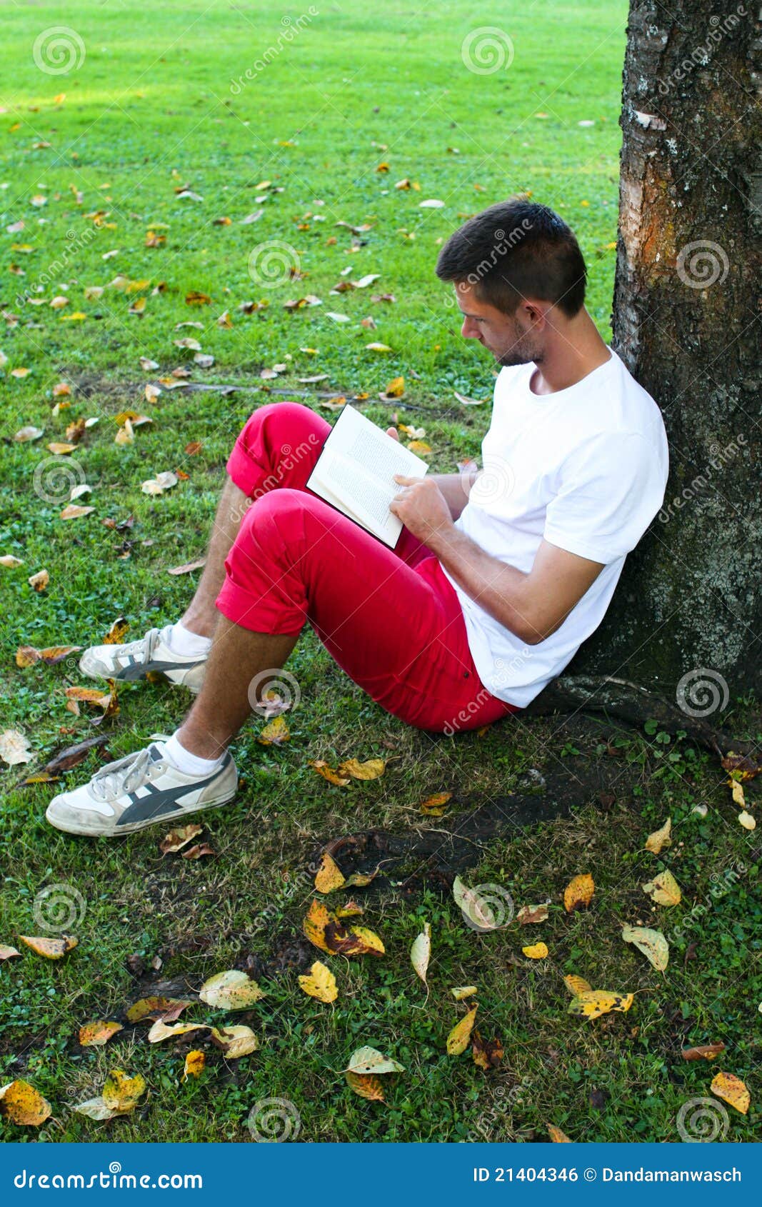 Man Sitting Under a Tree Reading a Book Stock Photo - Image of person ...