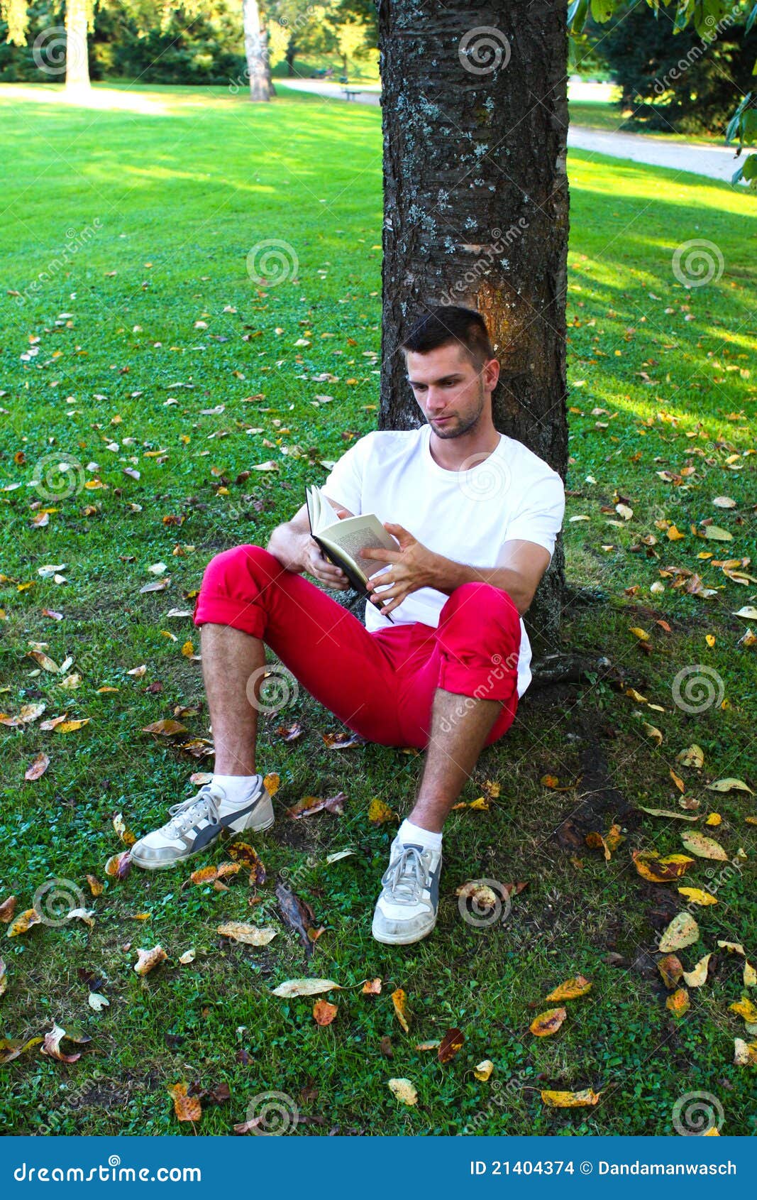 Man Sitting Under a Tree Reading a Book Stock Photo - Image of sitting ...