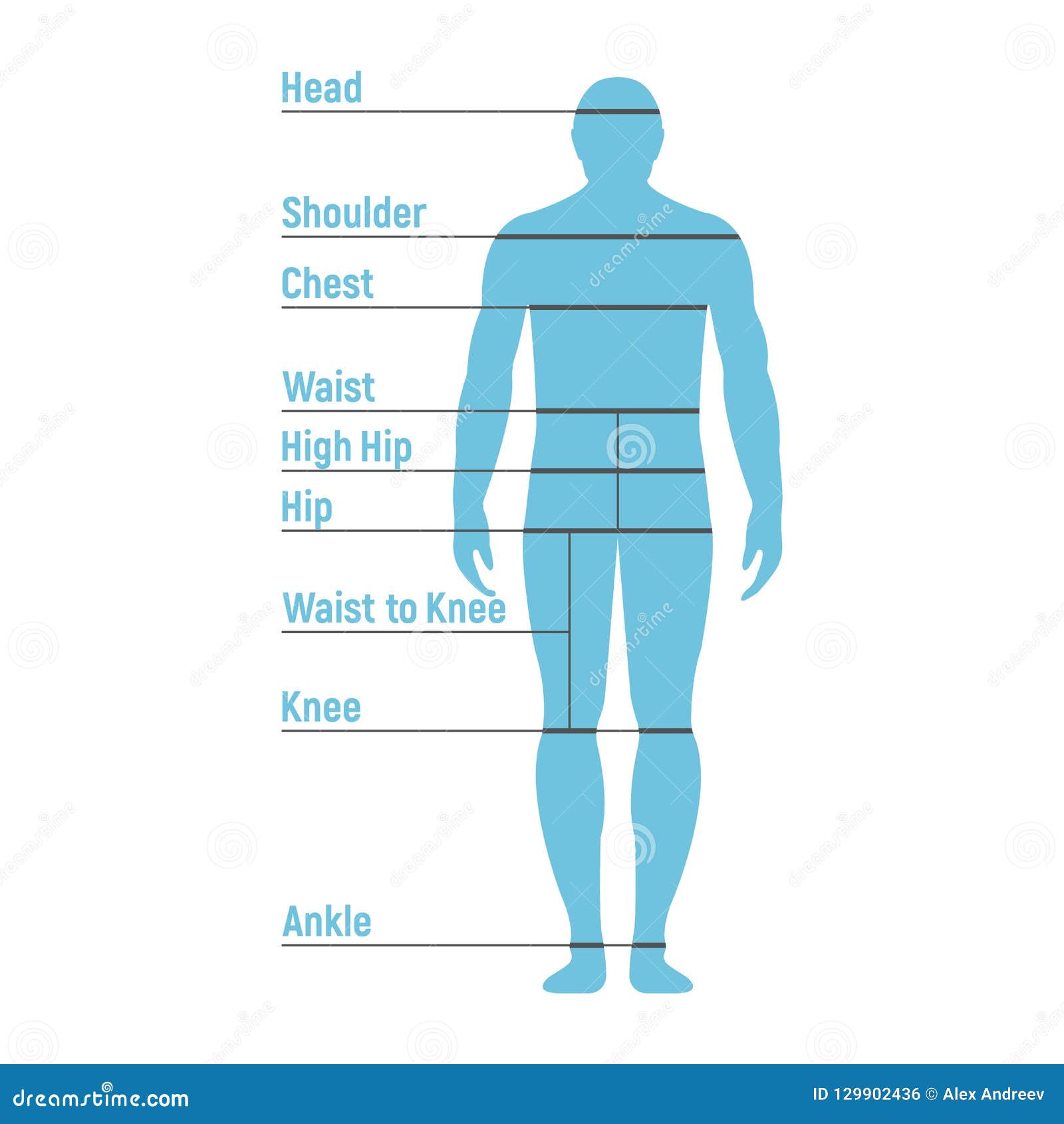 Man Size Chart Human Front Side Silhouette Stock Vector Illustration