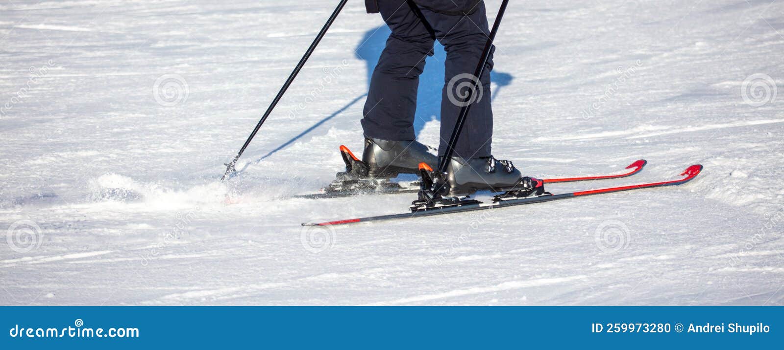 A Man is Skiing in the Snow. Stock Photo - Image of adult, winter ...