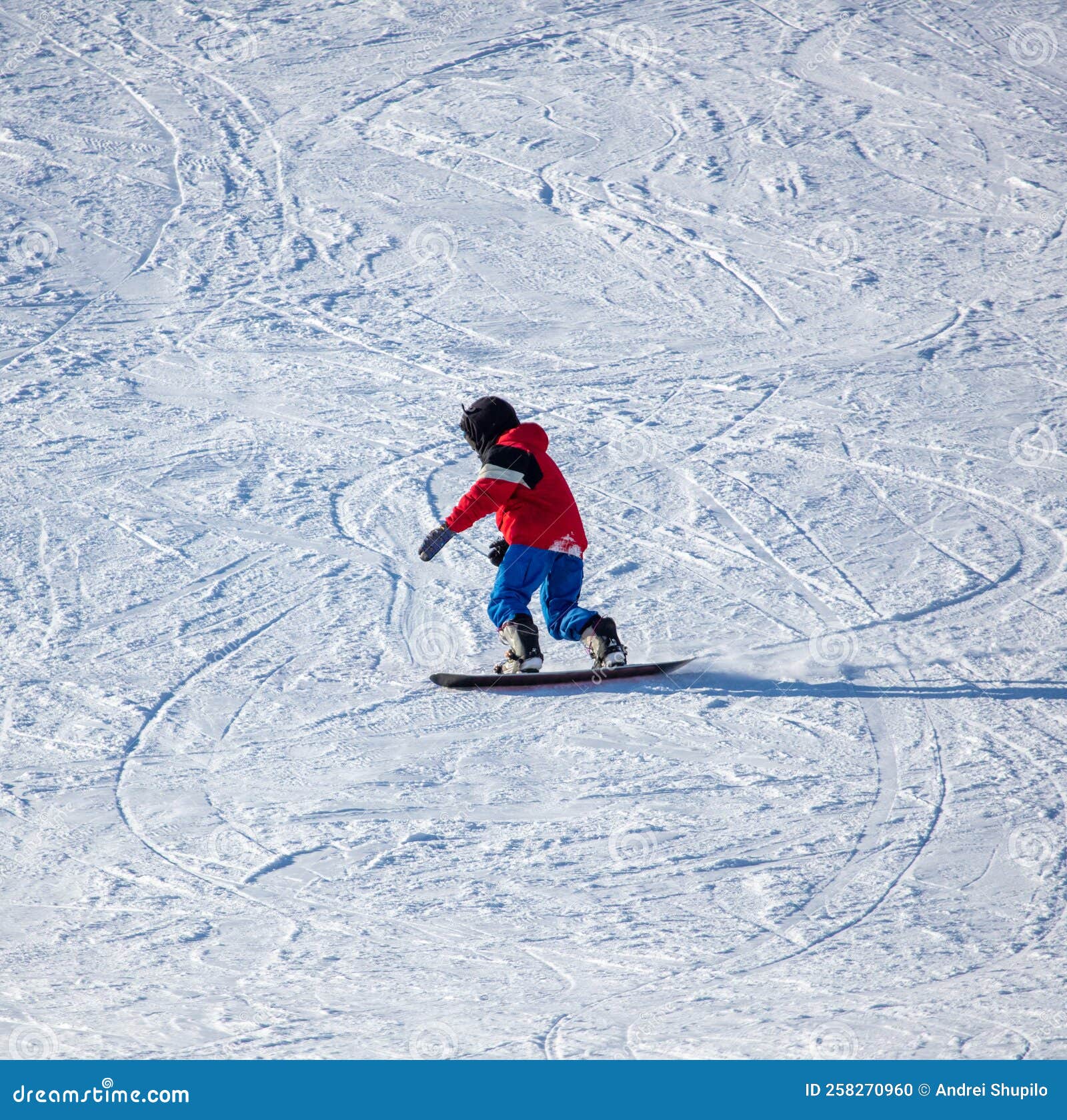 A Man Slides Down the Mountain on a Snowboard in the Snow. Stock Photo ...