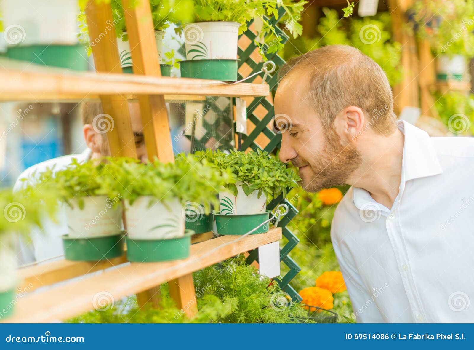 Man Smelling Herbs in a Shop Stock Photo - Image of casual, culinary ...
