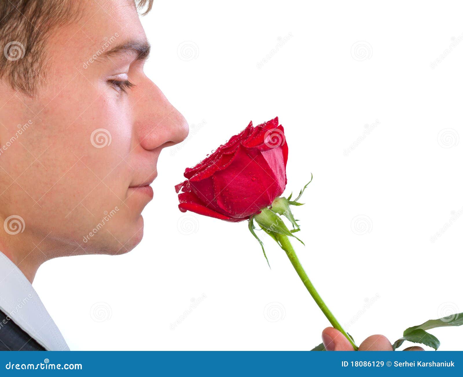 Man smelling a rose stock image. Image of smell, drop - 18086129
