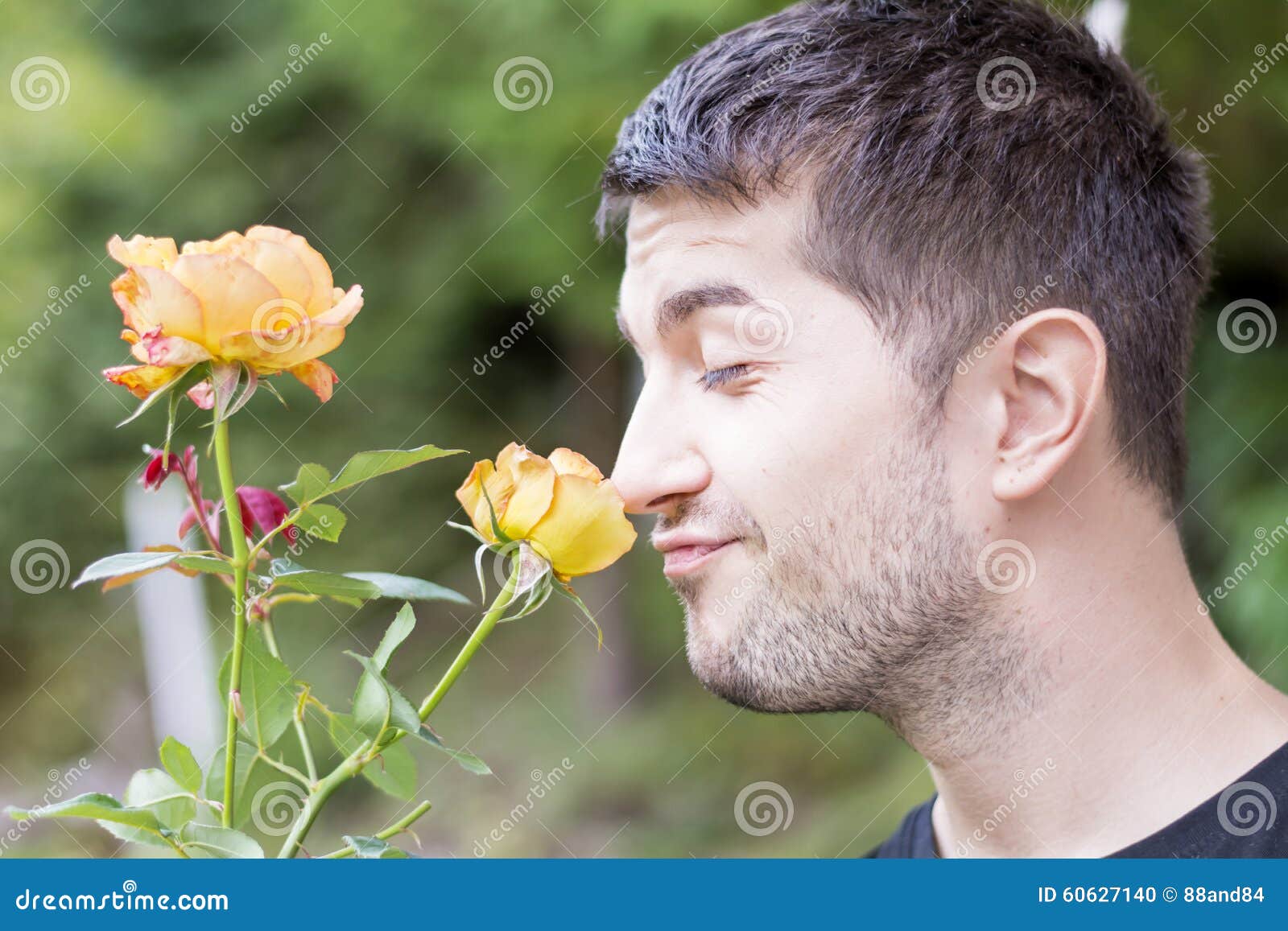 Man smelling a rose stock photo. Image of affectionate - 60627140