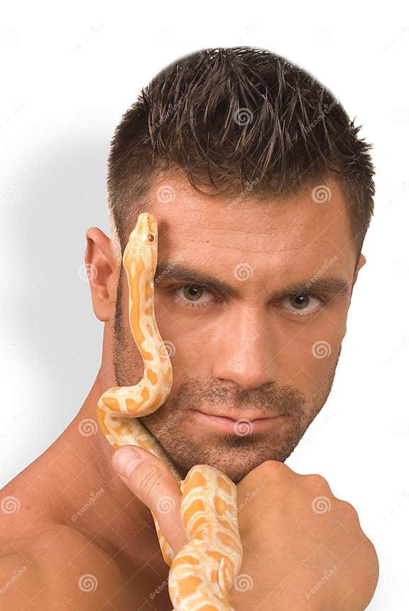 The man and snake stock image. Image of constrictor, fitness - 3787049