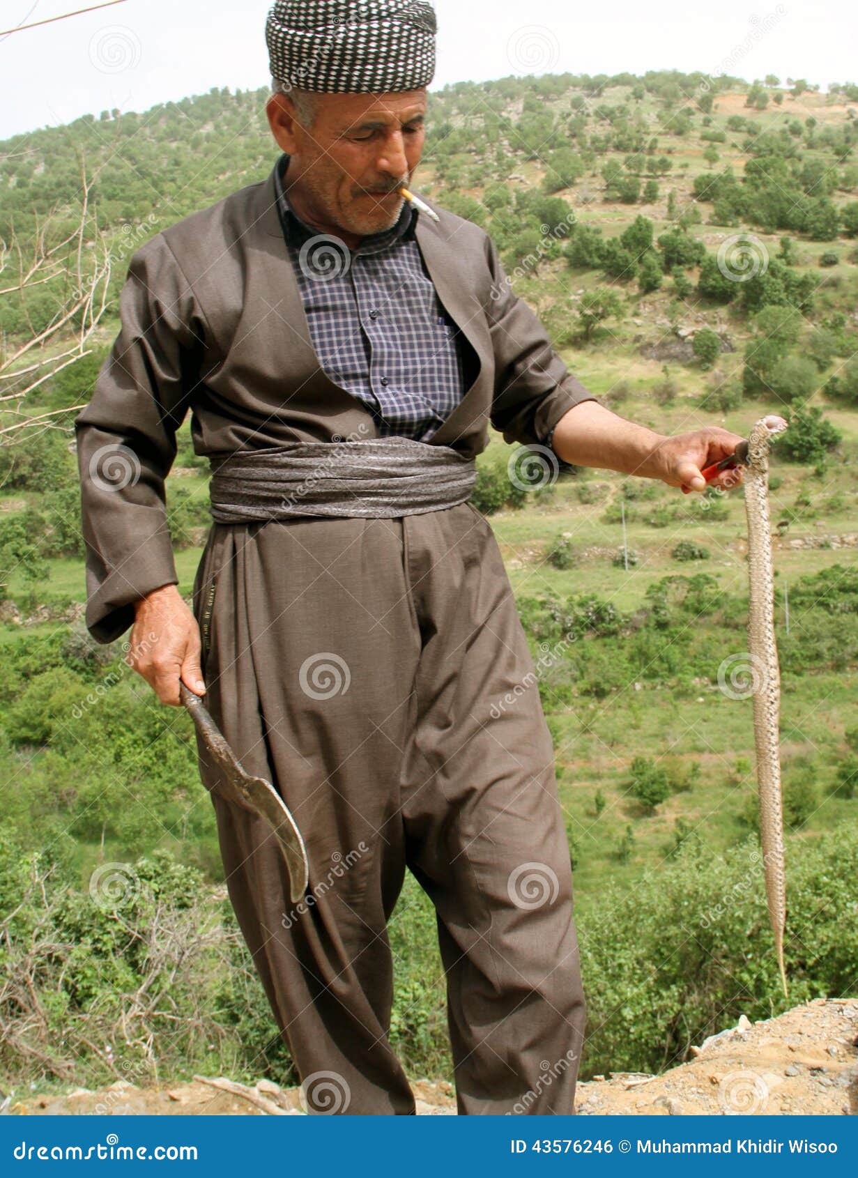 A man with a snake editorial photo. Image of hand, snakes - 43576246