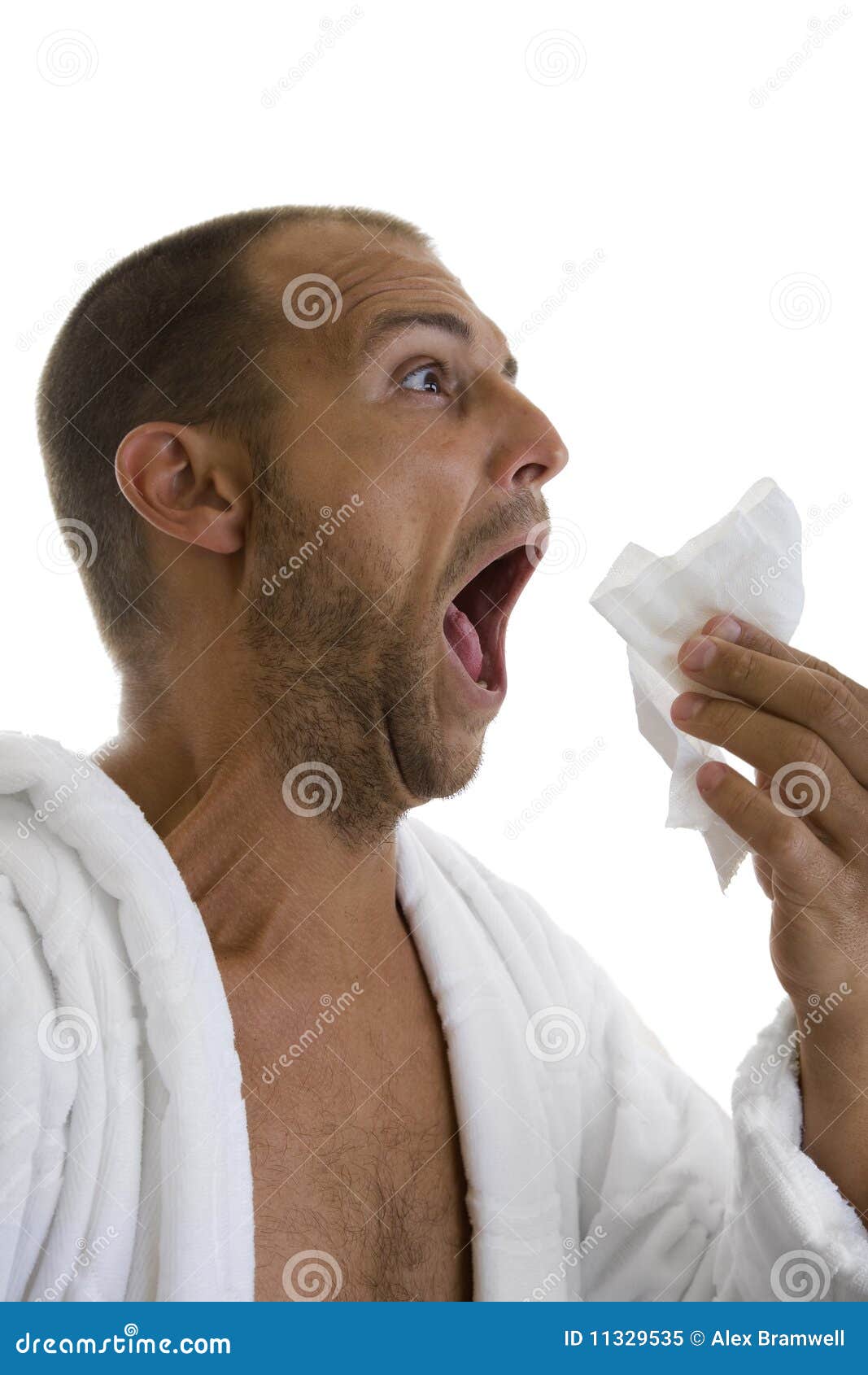 Man Sneezing stock image. Image of illness, hankie, bird - 11329535