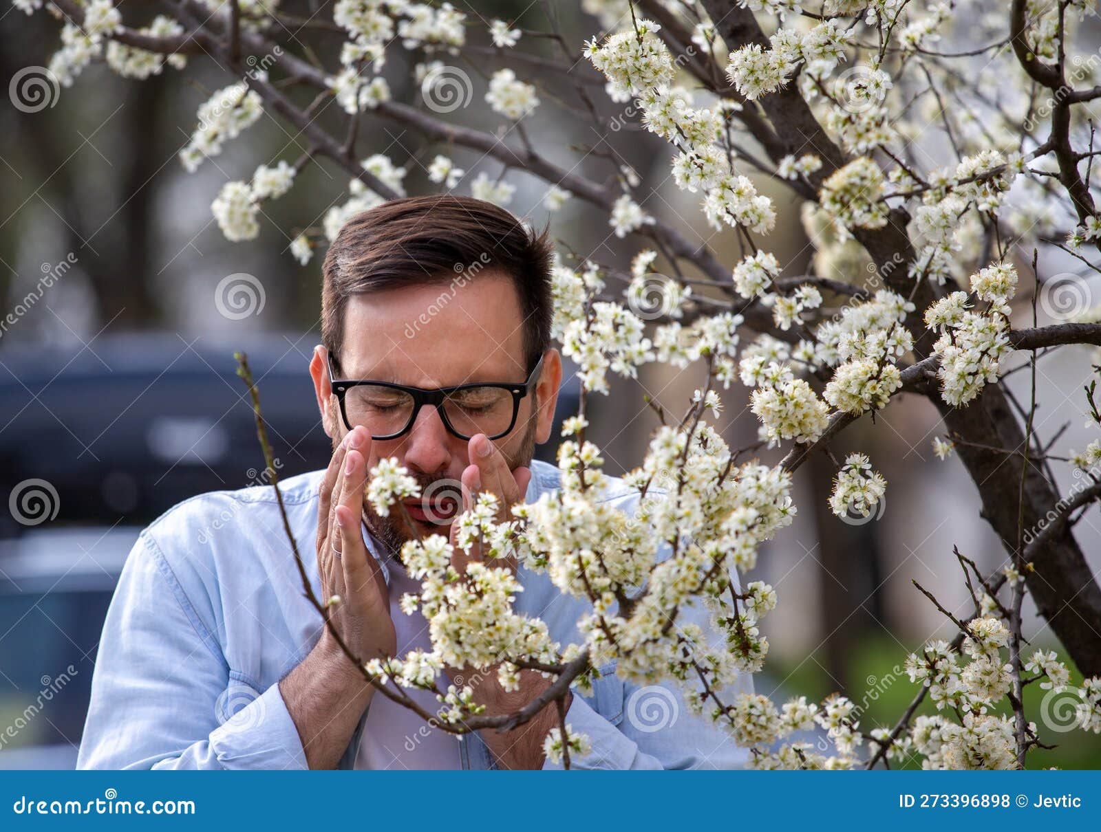 Man Sneezing beside Blooming Tree Stock Photo - Image of nature ...