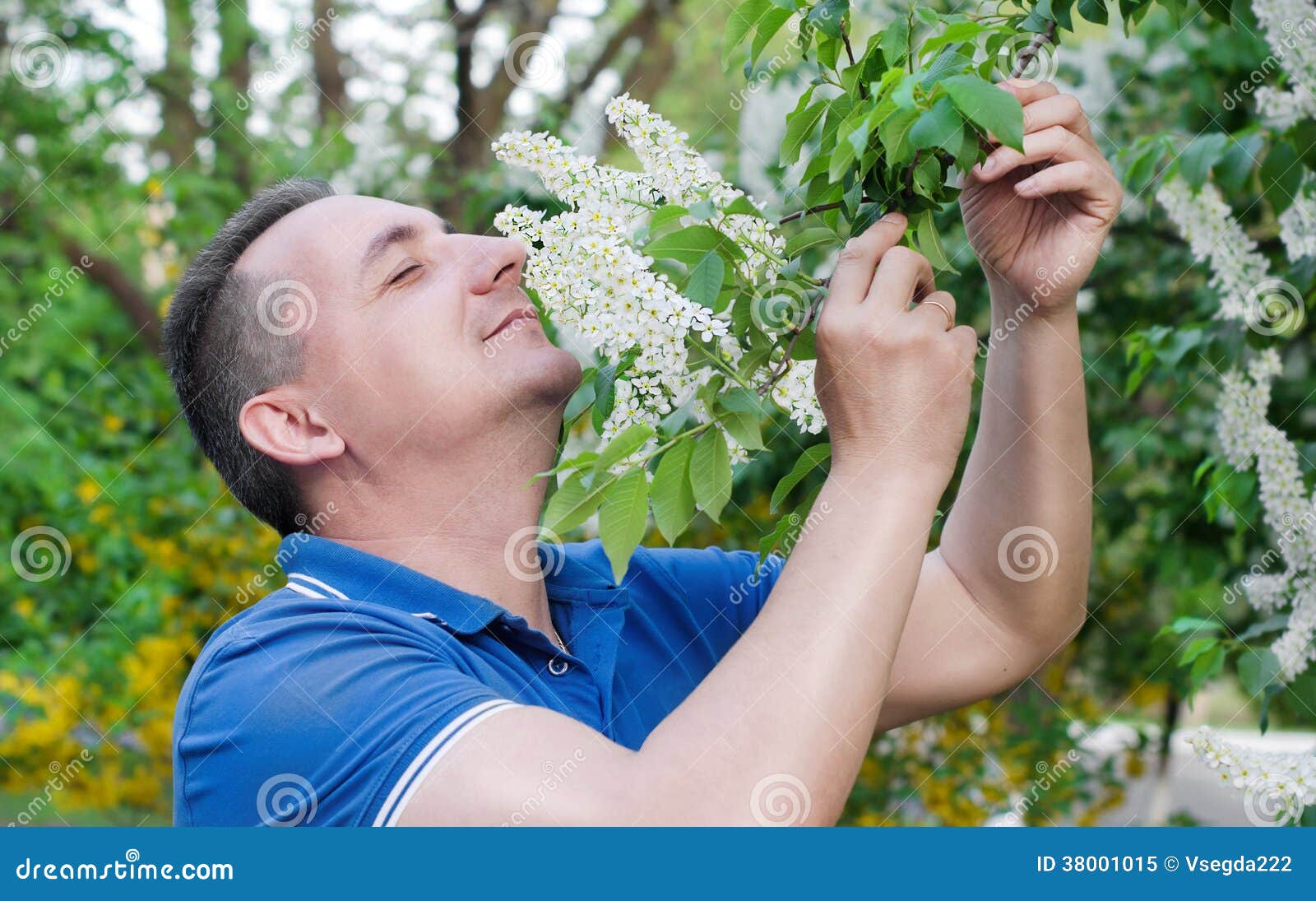 The Man Sniffing the Smell of Bird-cherry Stock Image - Image of ...