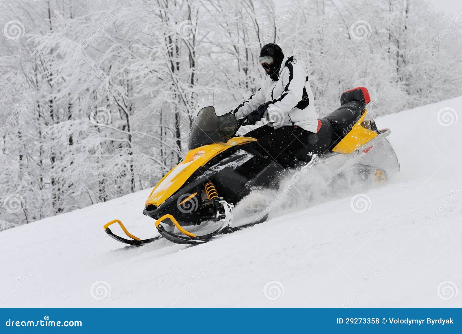 Man on snowmobile stock photo. Image of mountain, activity - 29273358