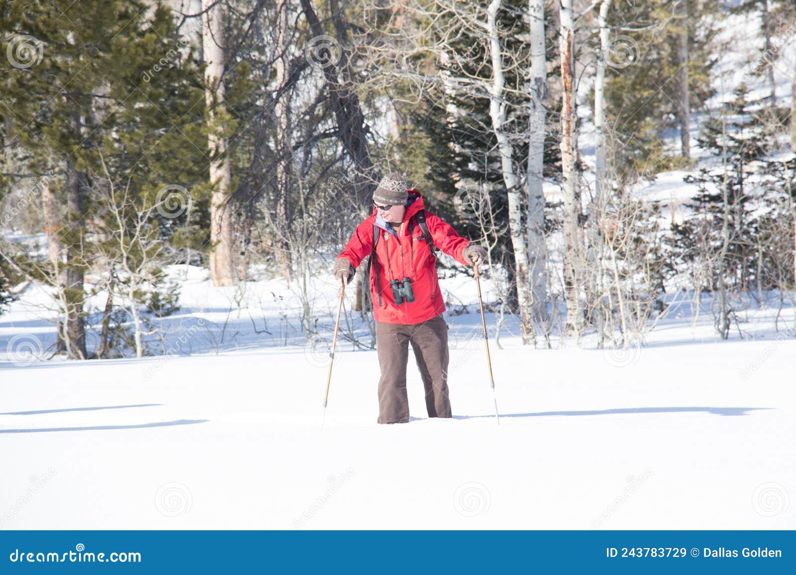 Man Snowshoeing in the Forest Stock Image - Image of exterior, january ...