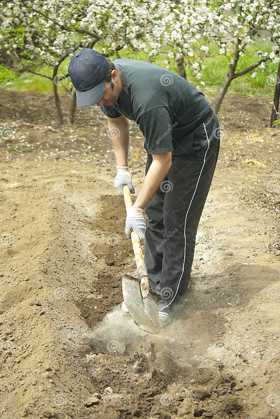 Man with spade stock photo. Image of earth, garden, toil - 19612112