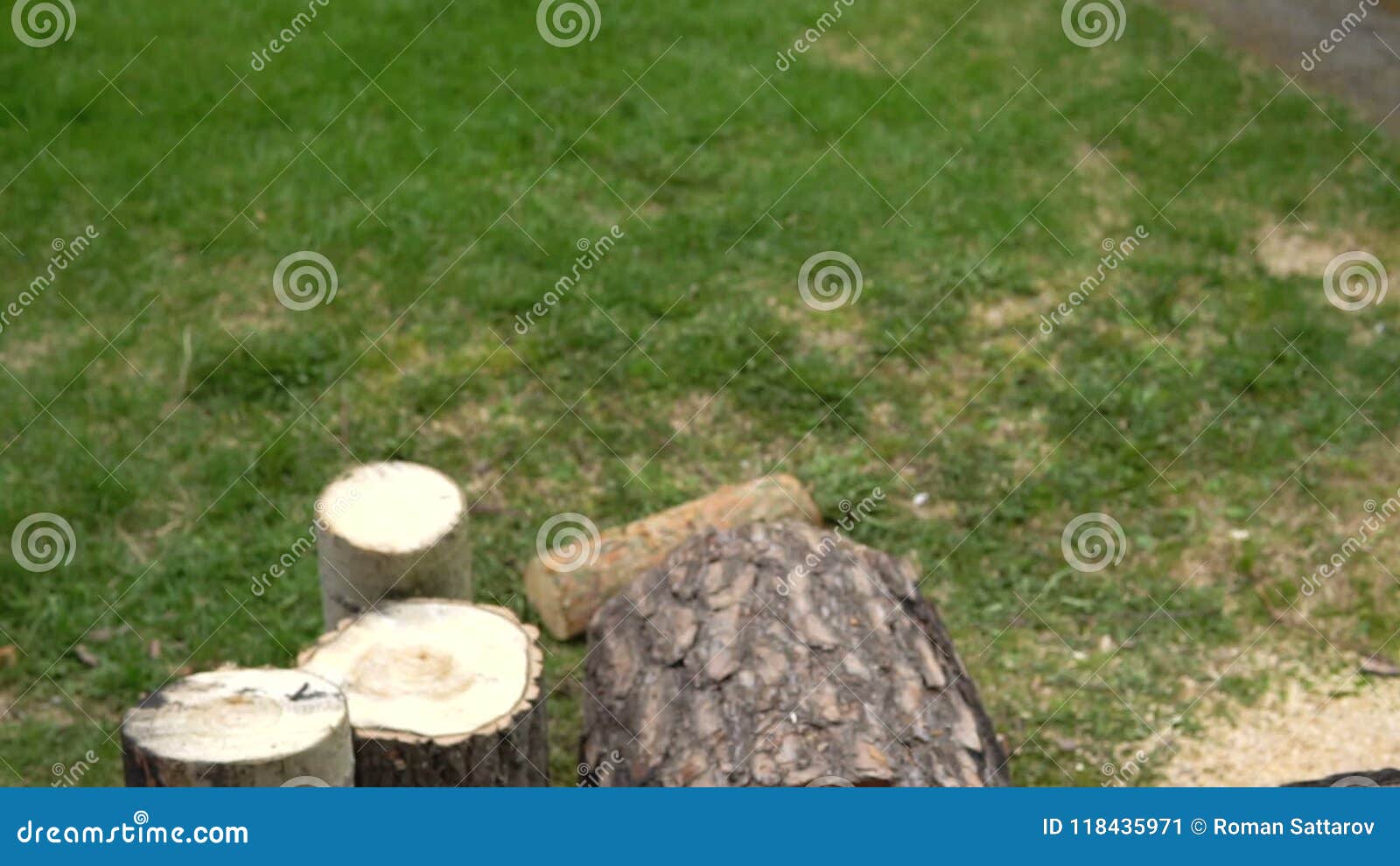 A Man Splitting a Log with an Axe. Stock Video - Video of grass, nature ...