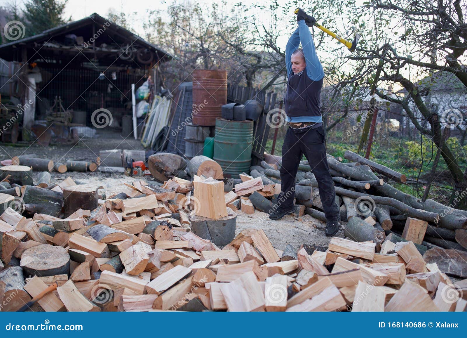 Man Splitting Wood with Axe and Maul Stock Photo - Image of hard ...