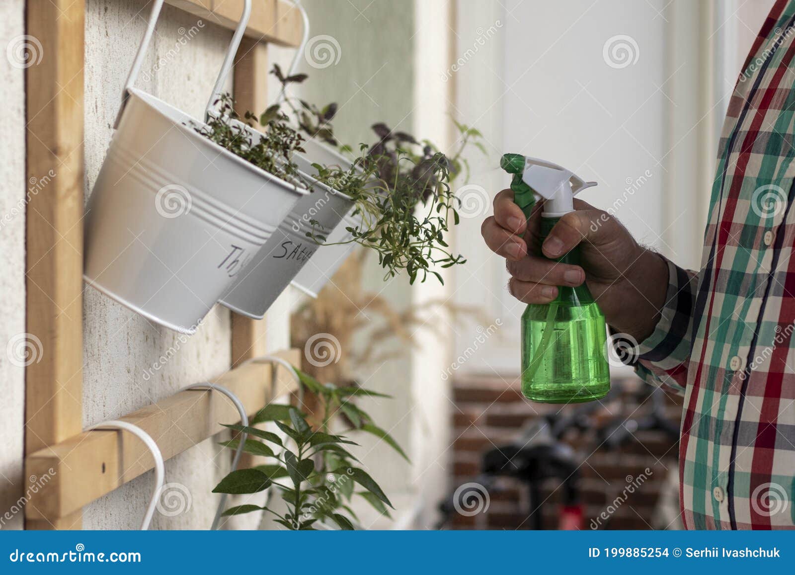 Hand-pumped Sprayer Isolated On White Background. Garden Pressure ...