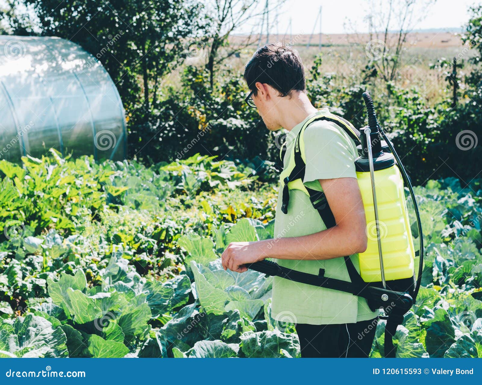 Man Spraying a Garden stock image. Image of grower, chemical - 120615593