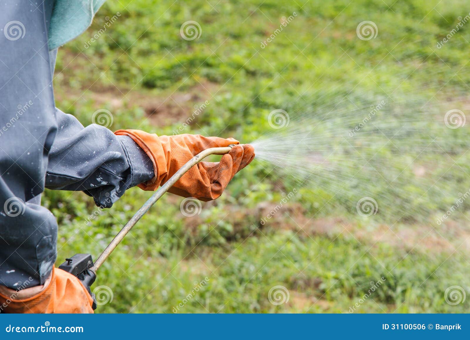 A Man Is Spraying Herbicide Royalty Free Stock Image - Image: 31100506