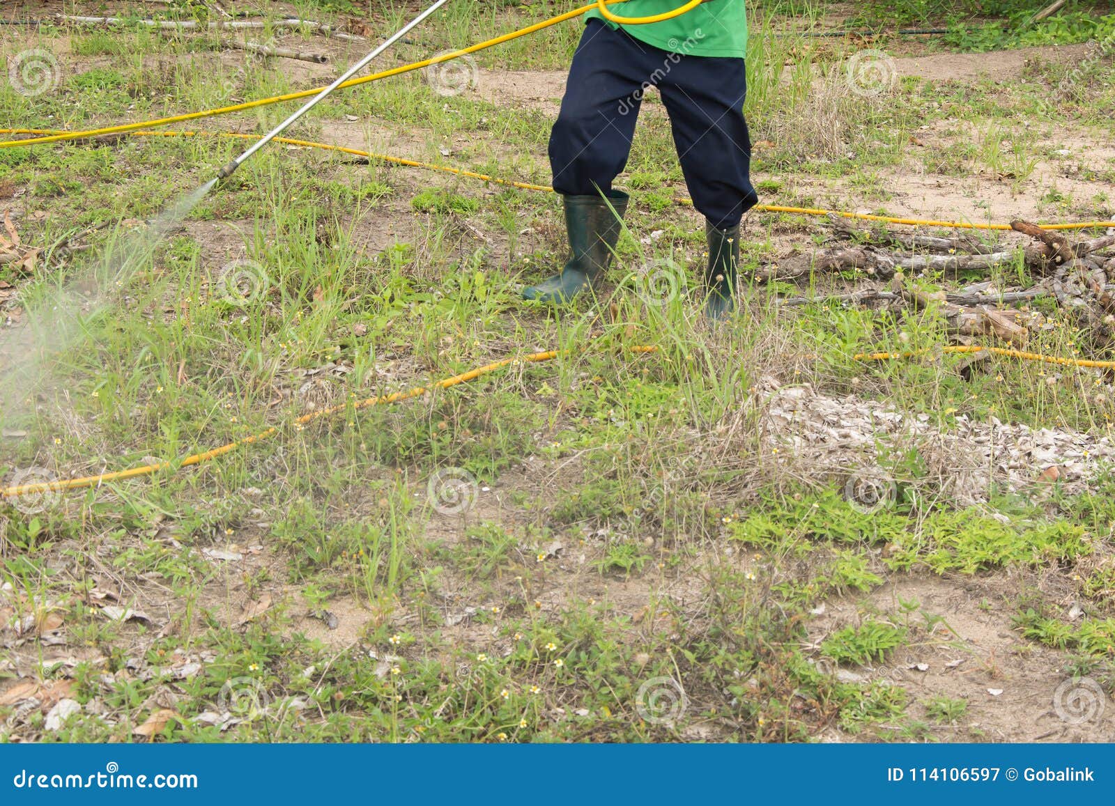 Spraying herbicide stock image. Image of scene, people - 114106597