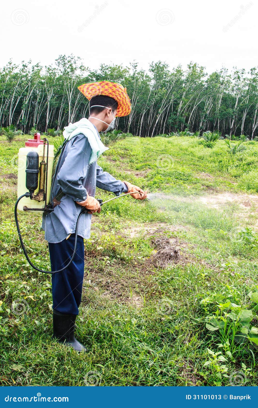 A Man is Spraying Herbicide Stock Image - Image of carcinogenic, mask ...