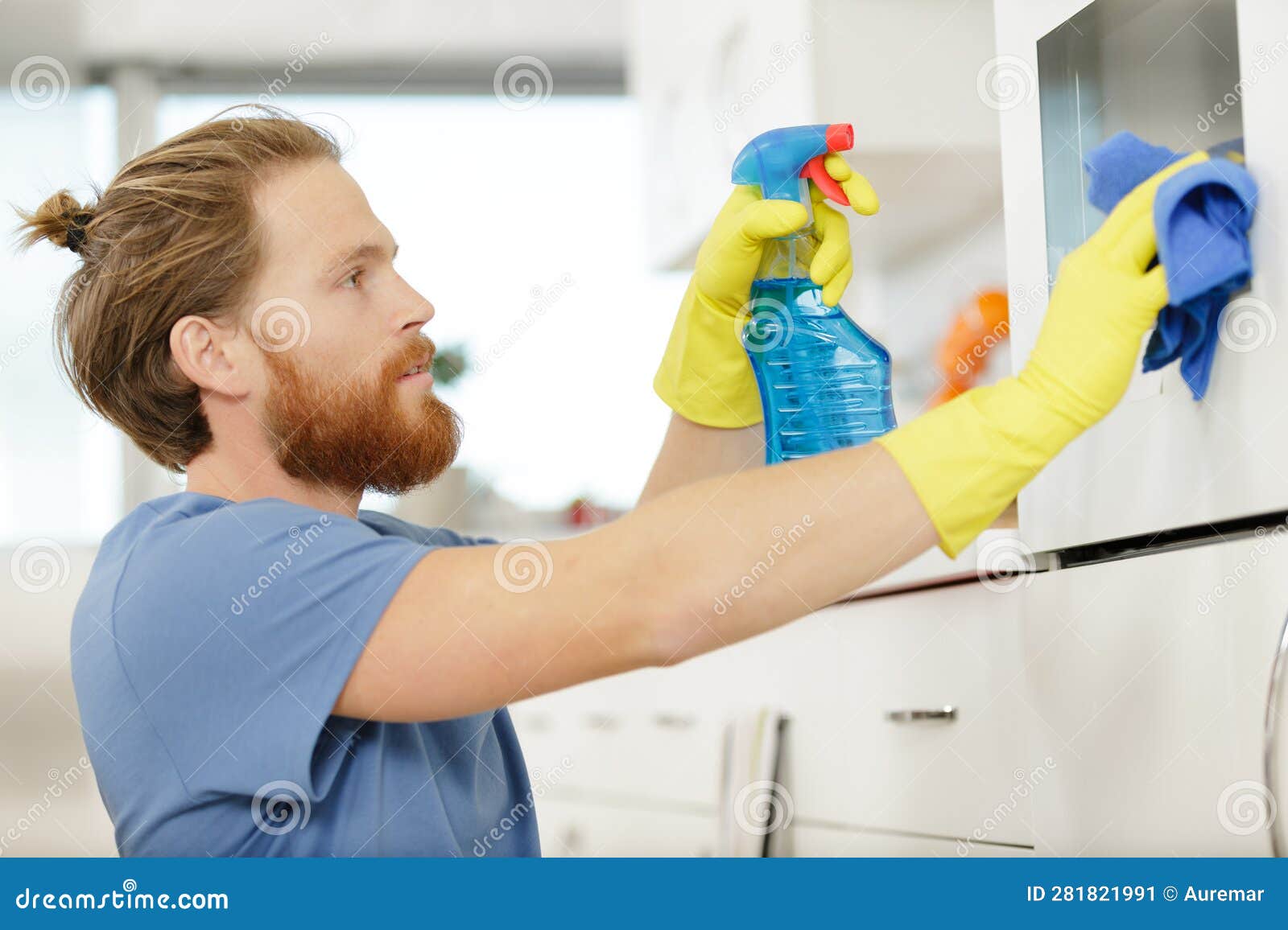 Man Spraying Oven in Kitchen Stock Image - Image of pesticide, life ...