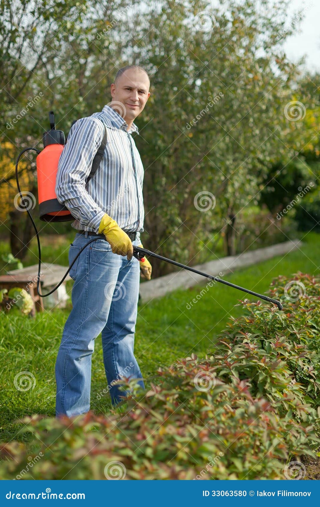 Man spraying plant stock photo. Image of bushes, farmer - 33063580