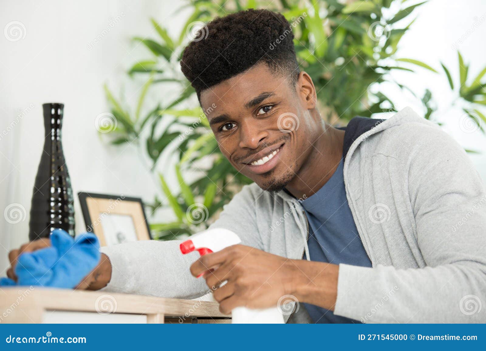 Man Spraying Sofa House Service Stock Photo - Image of display, janitor ...