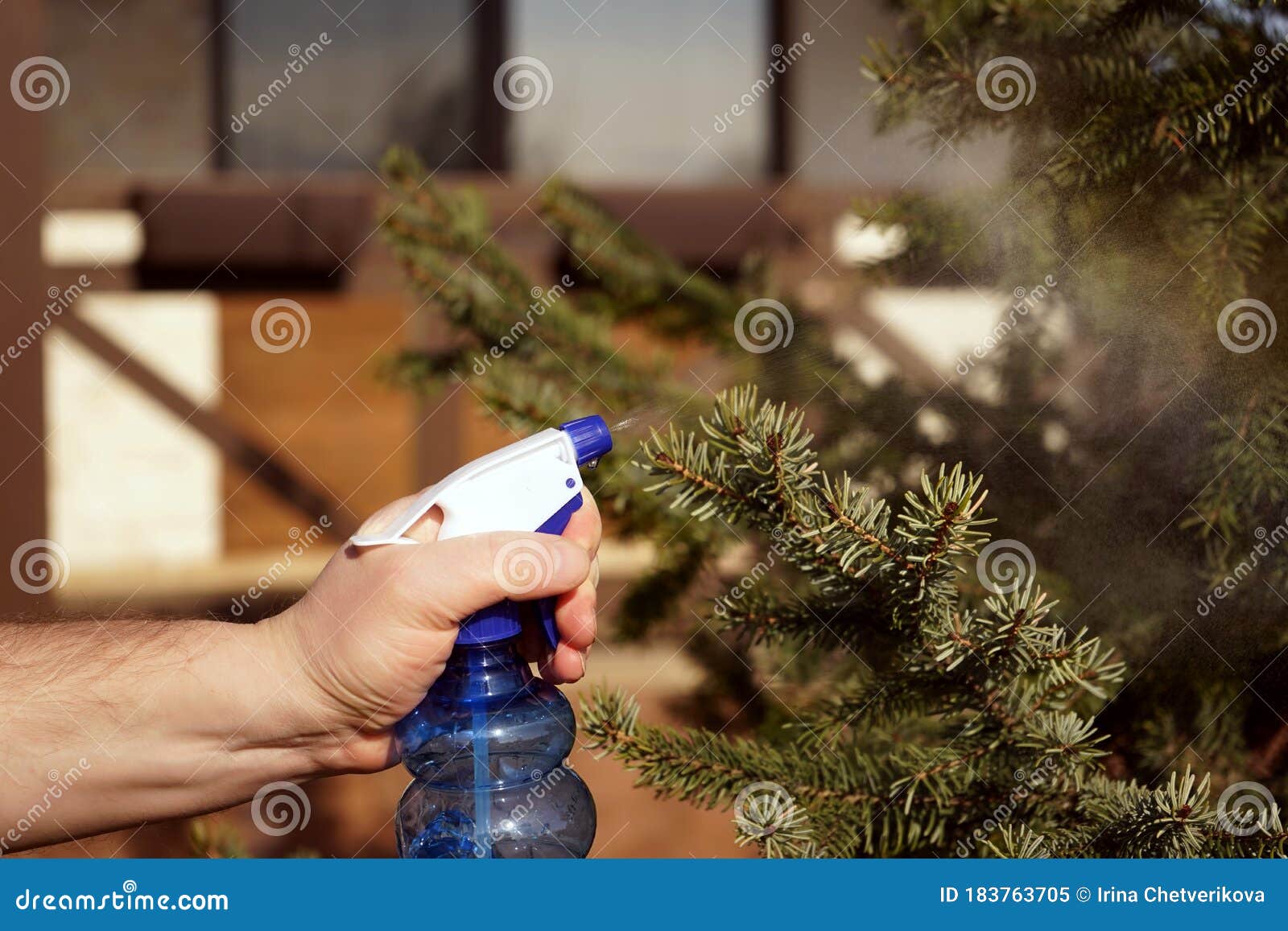 A man spraying a tree stock image. Image of insects - 183763705