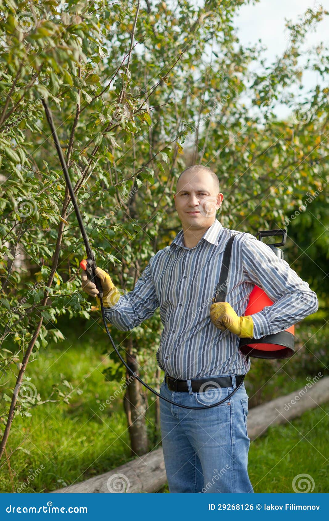 Man spraying tree plant stock photo. Image of person - 29268126