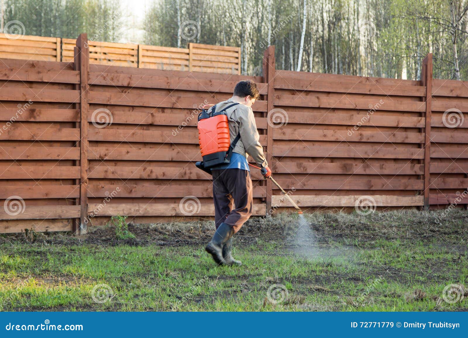 Man Sprays Grass with Herbicide of a Knapsack Sprayer Stock Image ...
