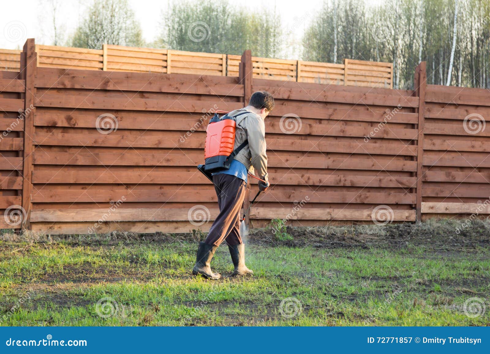 Man Sprays Grass with Herbicide of a Knapsack Sprayer Stock Image ...