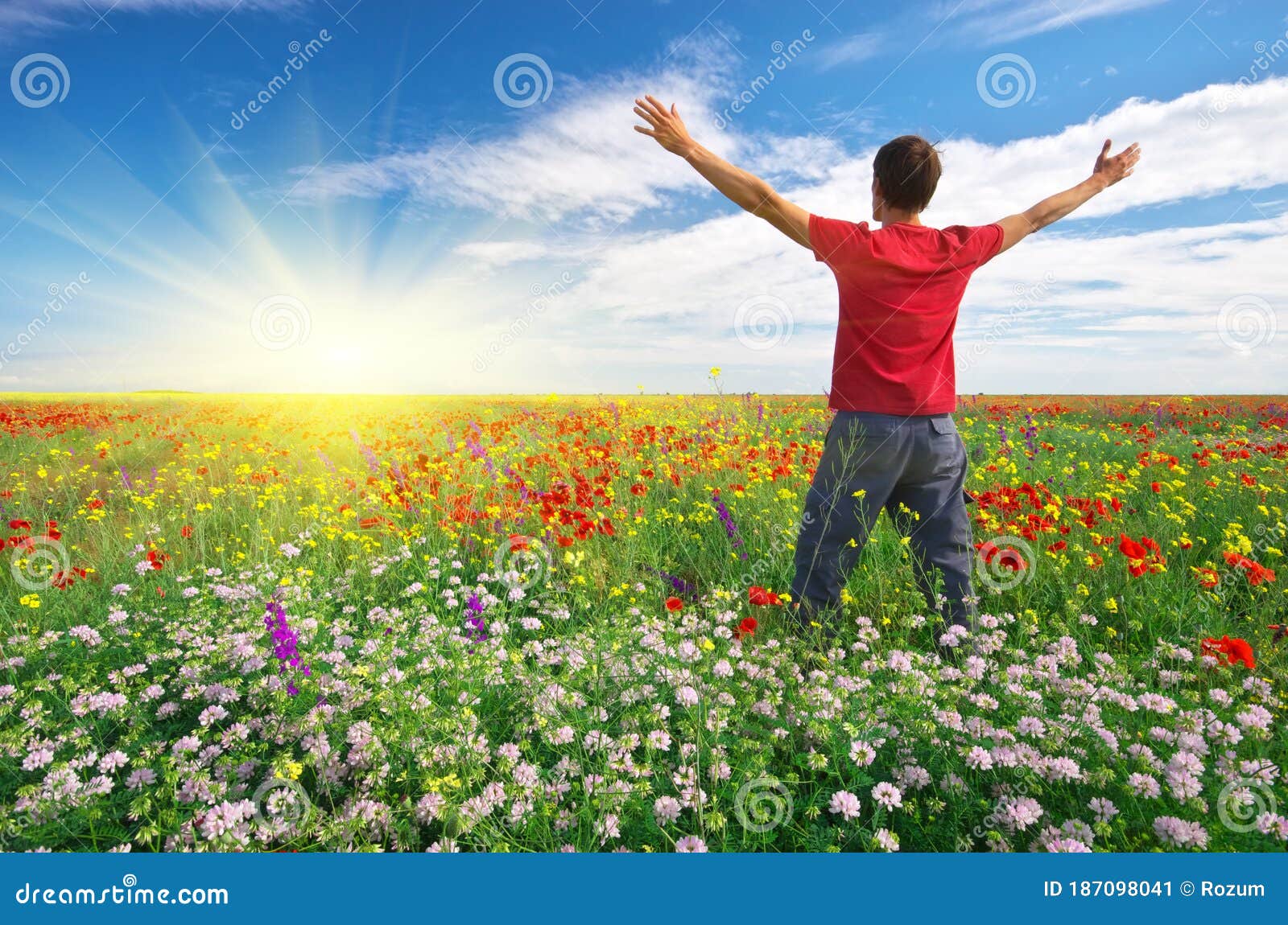 Man in Spring Meadow of Flower Stock Image - Image of meadow, grass ...