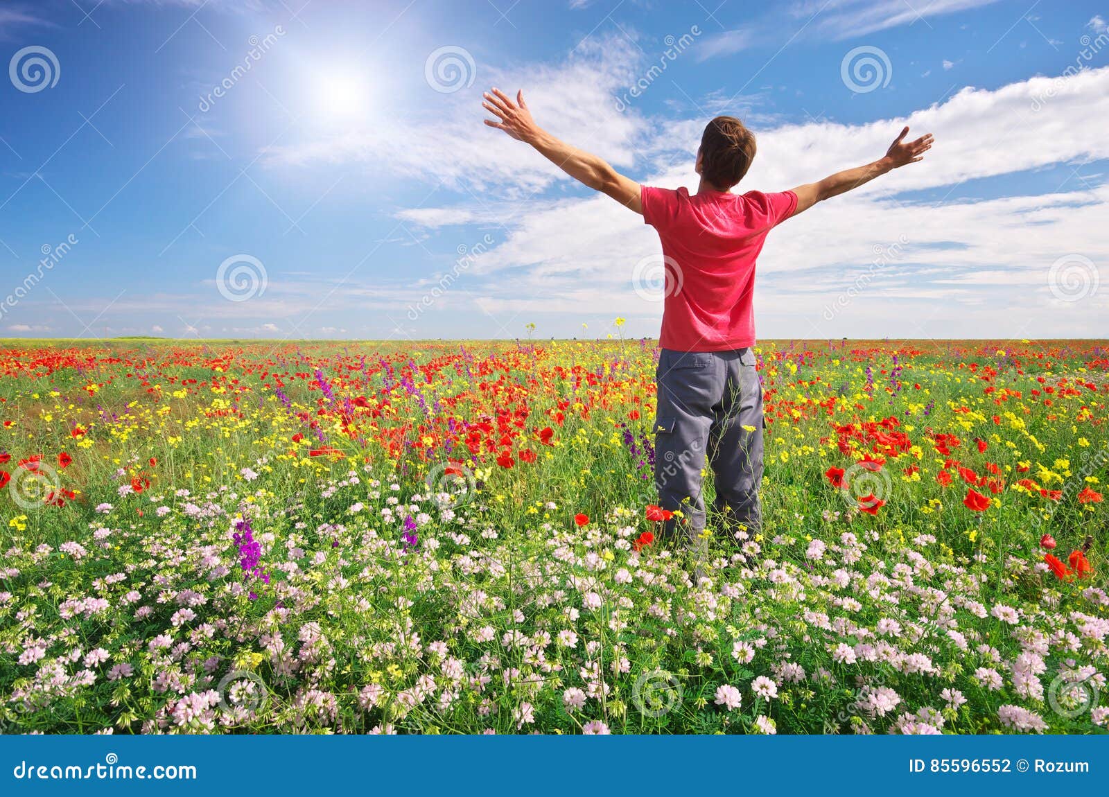 Man in spring meadow stock photo. Image of people, nature - 85596552