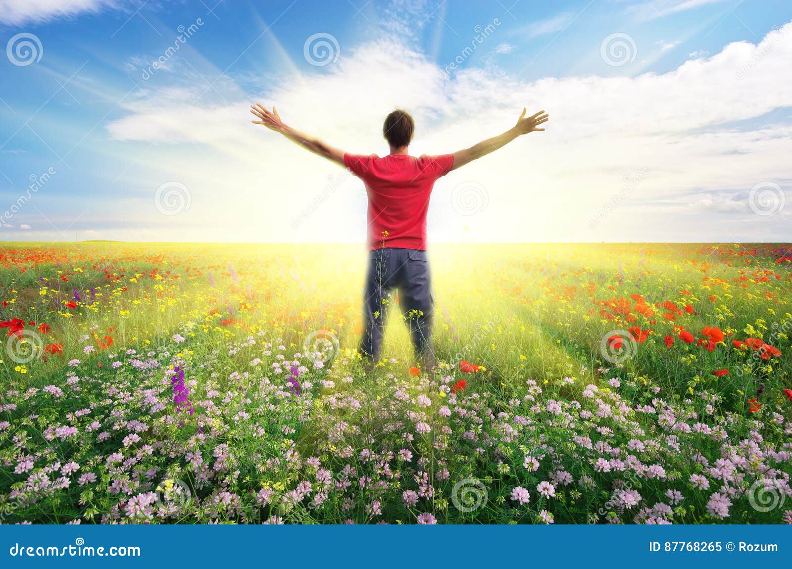 Man in Spring Meadow of Flower. Stock Image - Image of male, flower ...