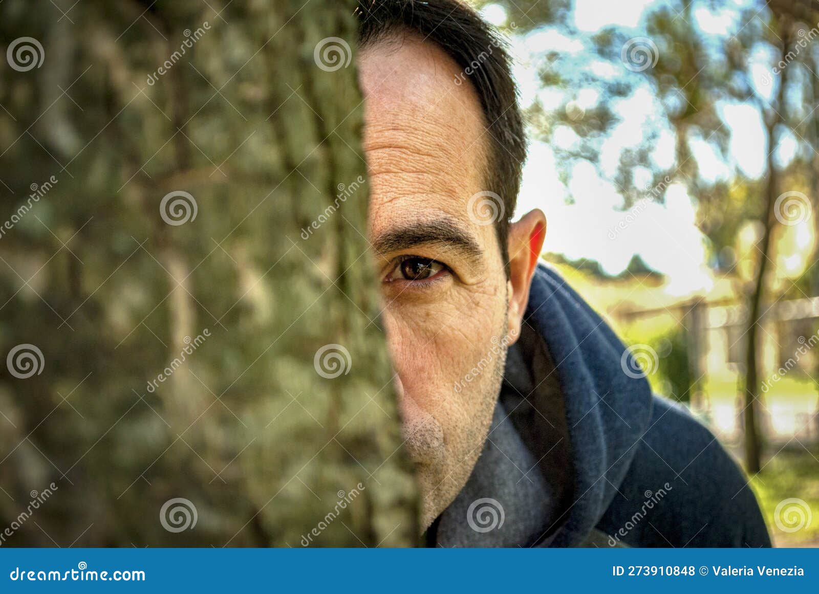 A man spying behind a tree stock photo. Image of camera - 273910848